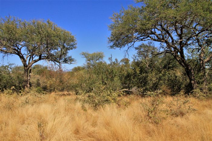 Game farms, bush houses, property for sale Hoedspruit | Century21 Wildlife