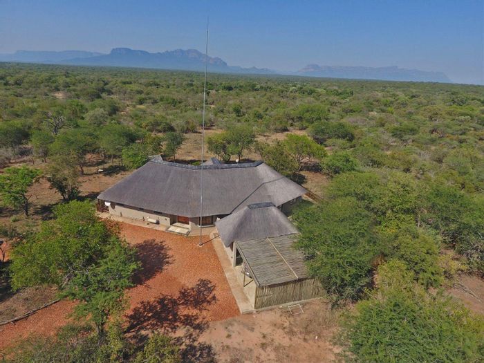 Moditlo Nature Reserve, Hoedspruit | Century21 Wildlife