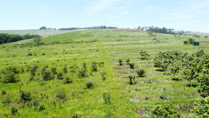 Latest Properties For Sale | 1Property