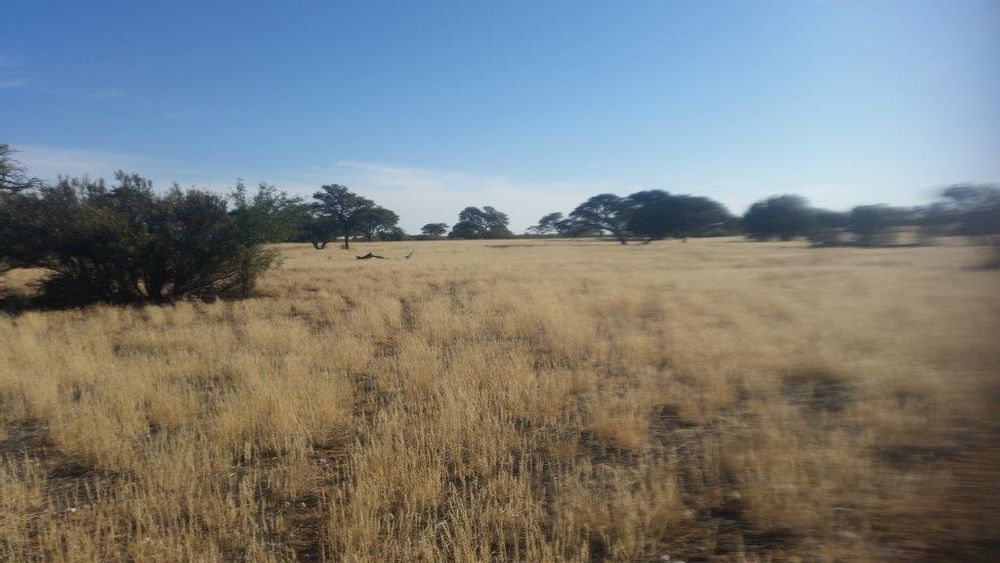 Endless Farming Opportunities in Hochfeld Central - Two Farms For Sale ...