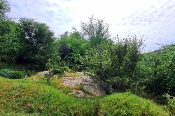 2,498m² Vacant Land Residential in Elephant Rock Eco Estate For Sale R1 ...