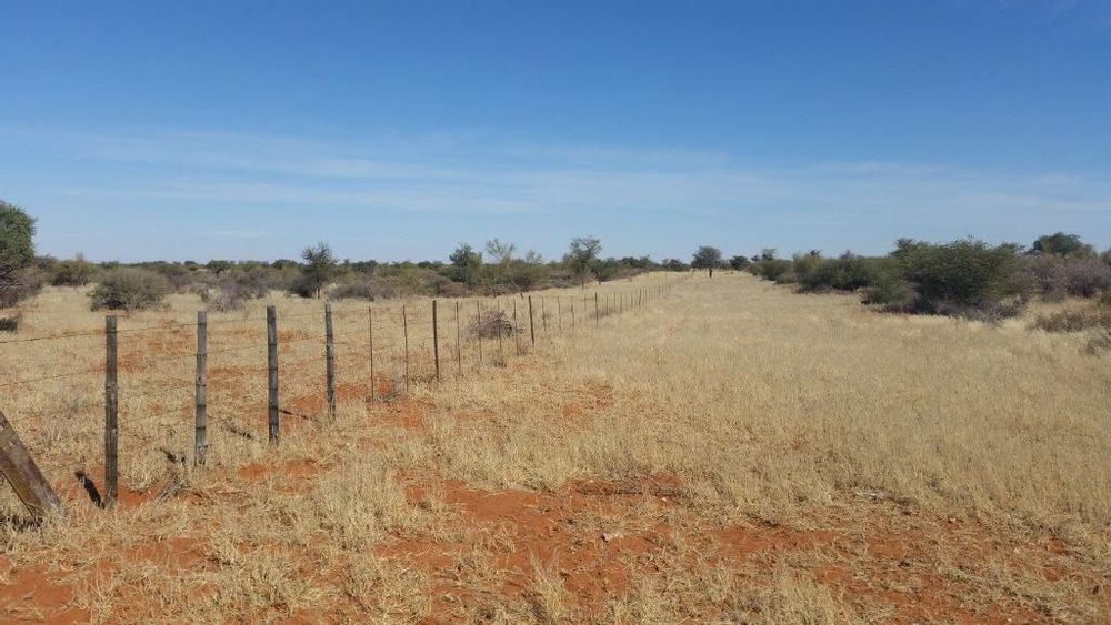 Endless Farming Opportunities in Hochfeld Central - Two Farms For Sale ...