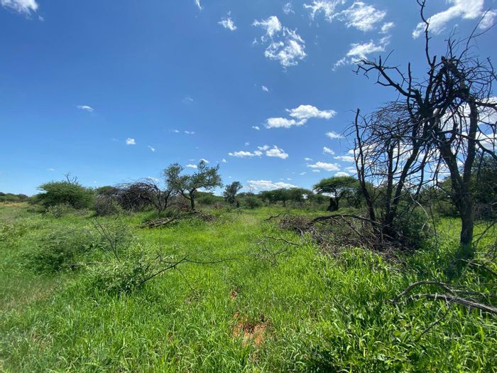 Hochfeld guide: Property, Estate Agents & News | MyProperty Namibia