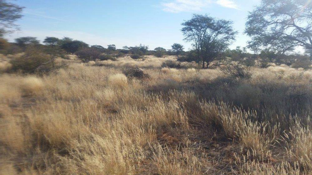 Endless Farming Opportunities in Hochfeld Central - Two Farms For Sale ...