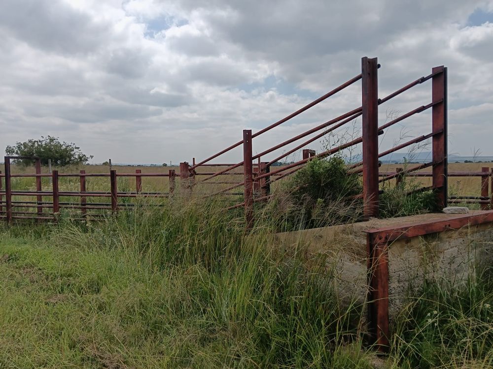 Klipdrift Farm For Sale: 731 Ha with water supply, livestock facilities ...