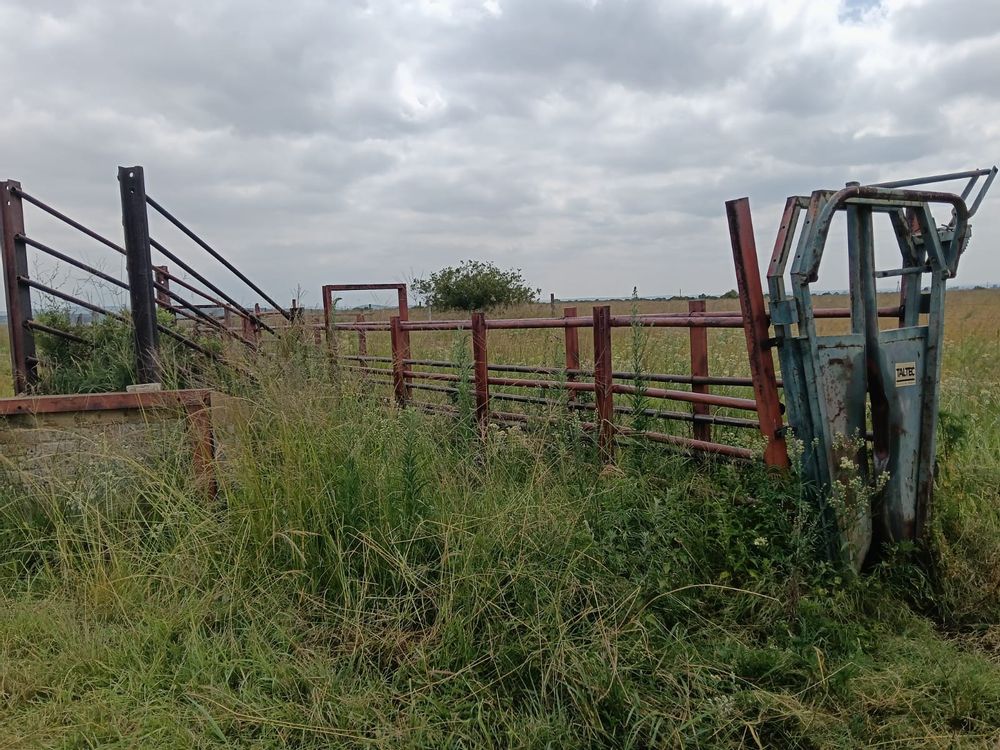 Klipdrift Farm For Sale: 731 Ha with water supply, livestock facilities ...