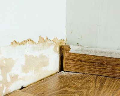 Understanding Damp in Buildings: Causes, Types, and Solutions | LuxLiv Property Group
